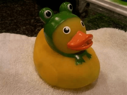Babies rubber toy moldy inside befor cutting open.